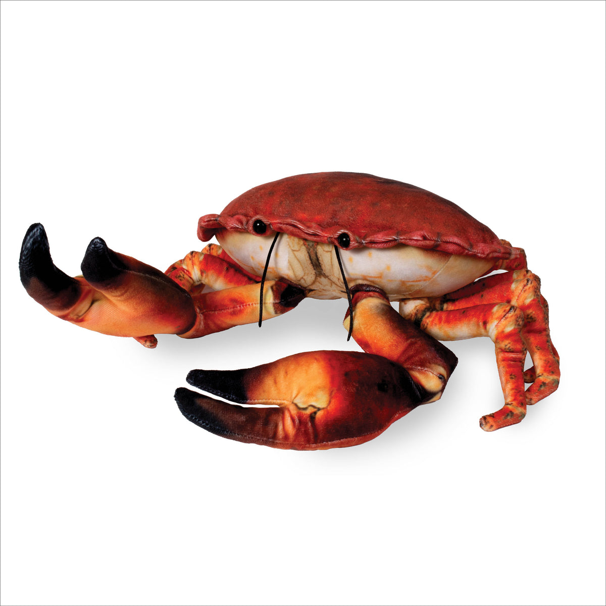 Real Planet™ Red Crab Realistic Plush Stuffed Animal – Real Planet™ Toys