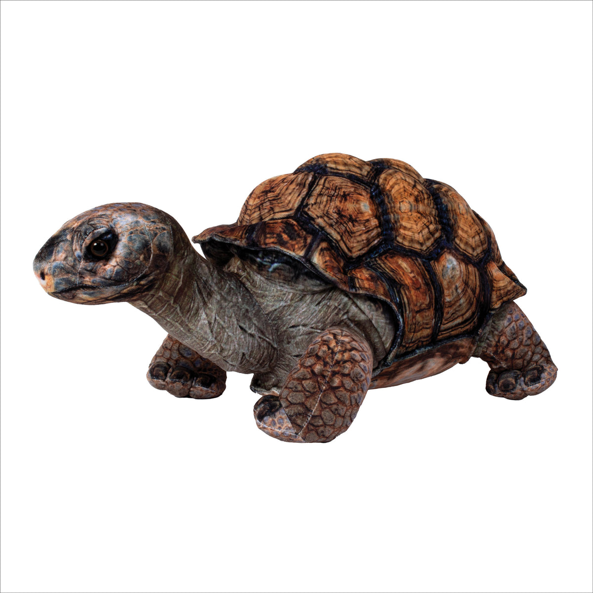 Real Planet™ Brown Desert Tortoise Realistic Plush Stuffed Animal ...