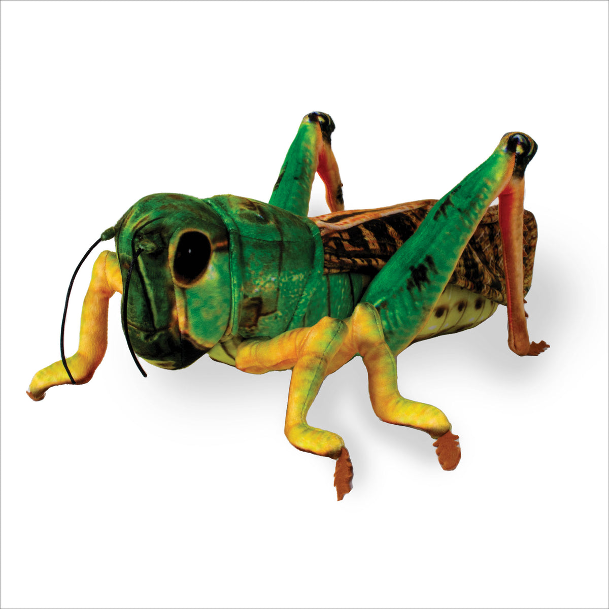 Real Planet™ Green Grass Hopper Realistic Plush Stuffed Animal – Real ...