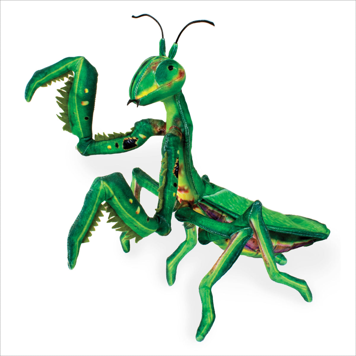 Real Planet™ Green Praying Mantis Realistic Plush Stuffed Animal – Real ...
