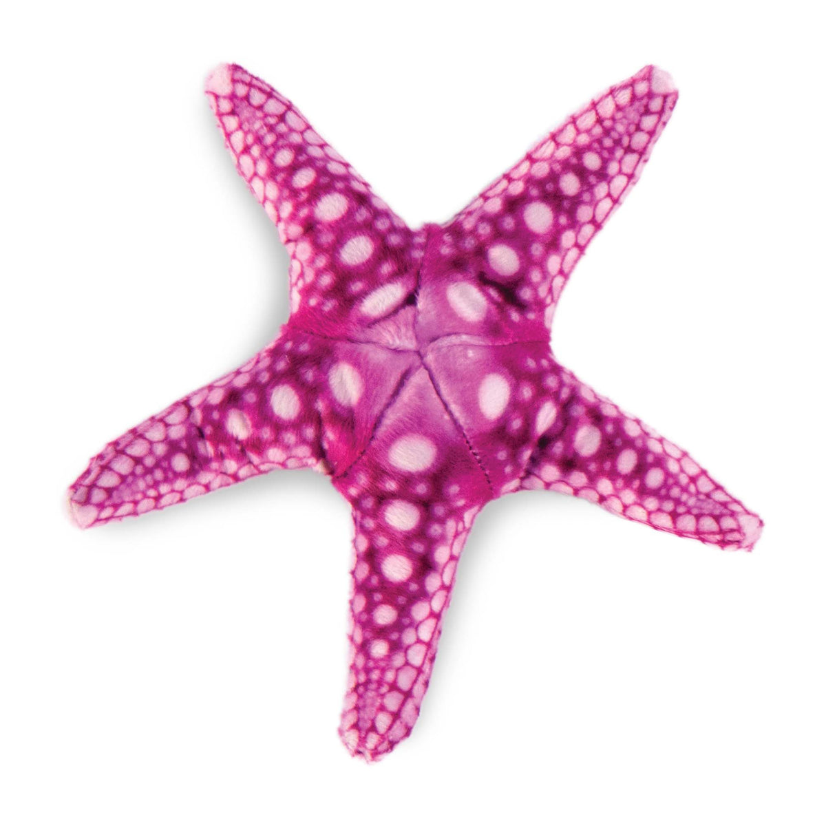 Real Planet™ Mini Purple Sea Star Realistic Plush Stuffed Animal – Real ...
