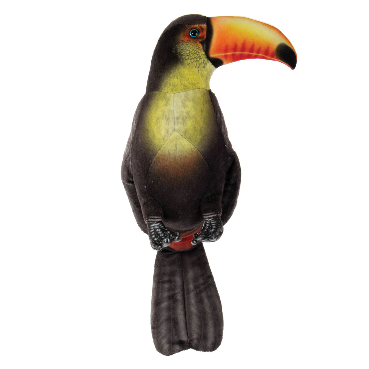 Real Planet™ Black Toucan Realistic Plush Stuffed Animal – Real Planet ...